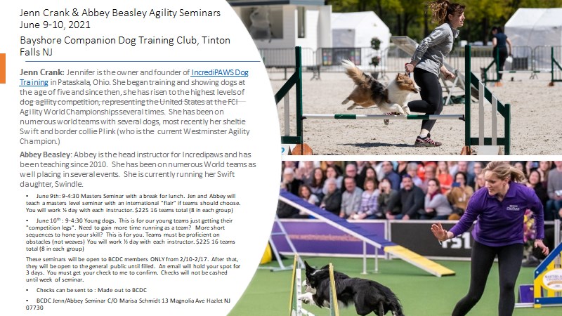 Jenn Crank and Abbey Beasley Agility Seminars
