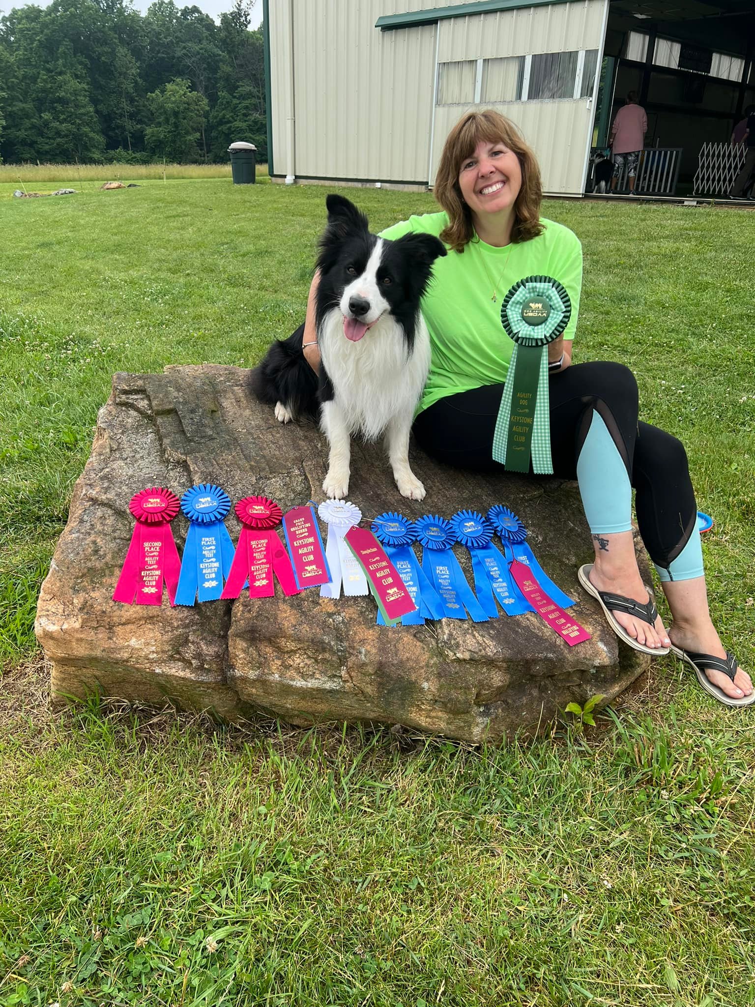 Agility Workshop with Kelly Ely....All About Crosses, Which and When